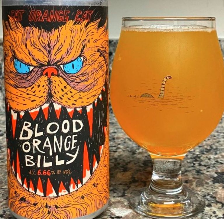 Quel est la place des chats dans le monde de la bière ? - Bieromatique