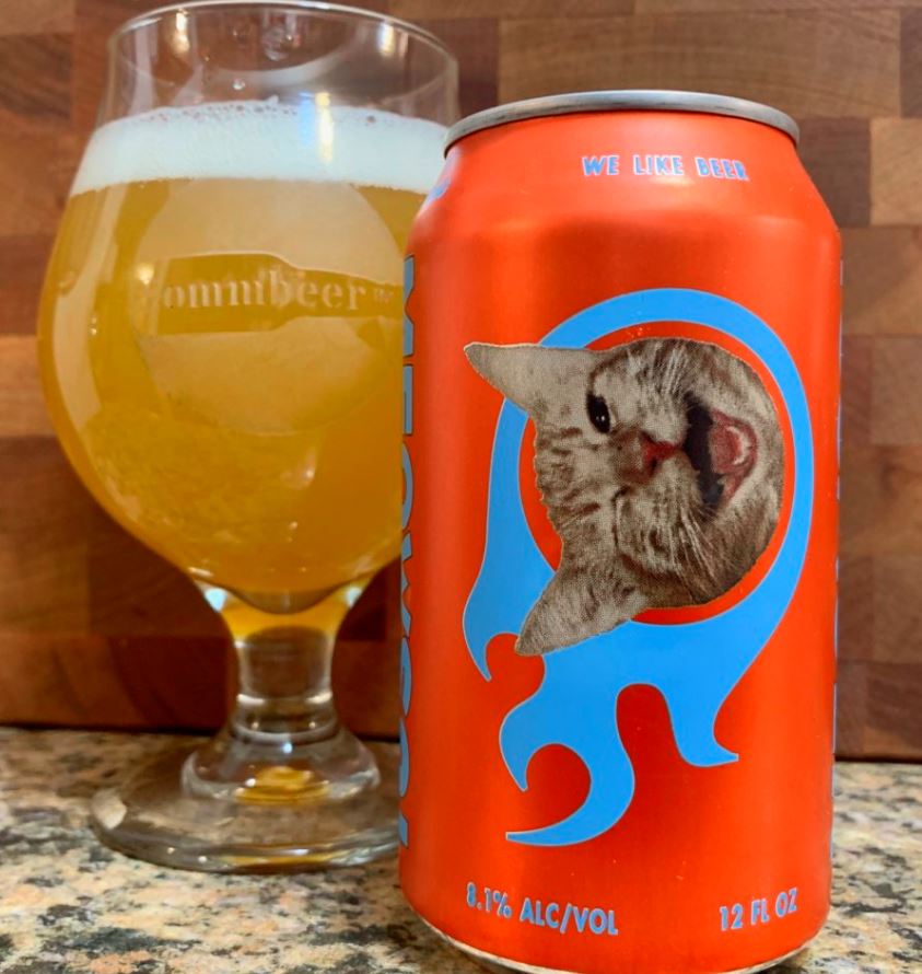 Quel est la place des chats dans le monde de la bière ? - Bieromatique